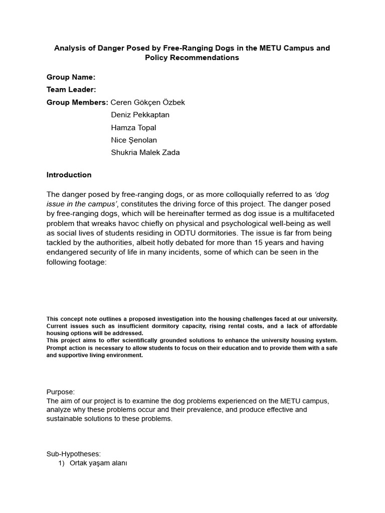 Intro To Statistics Project | PDF | Risk | Cognition