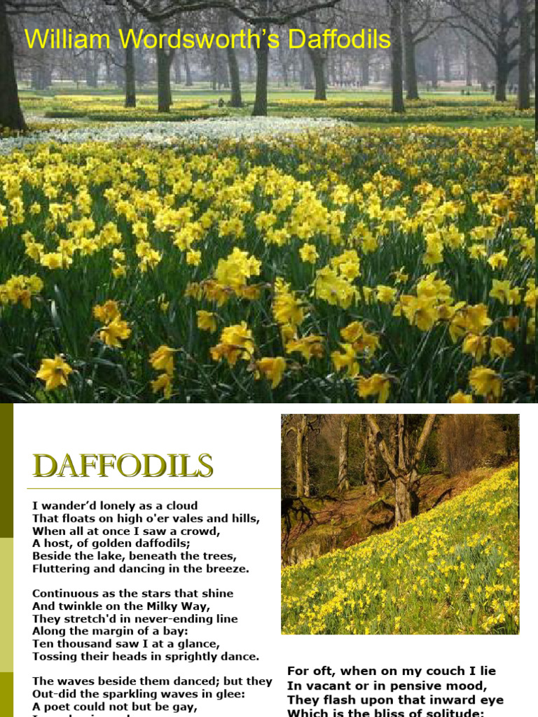 3c Wordsworth's Daffodils | PDF | Poetry