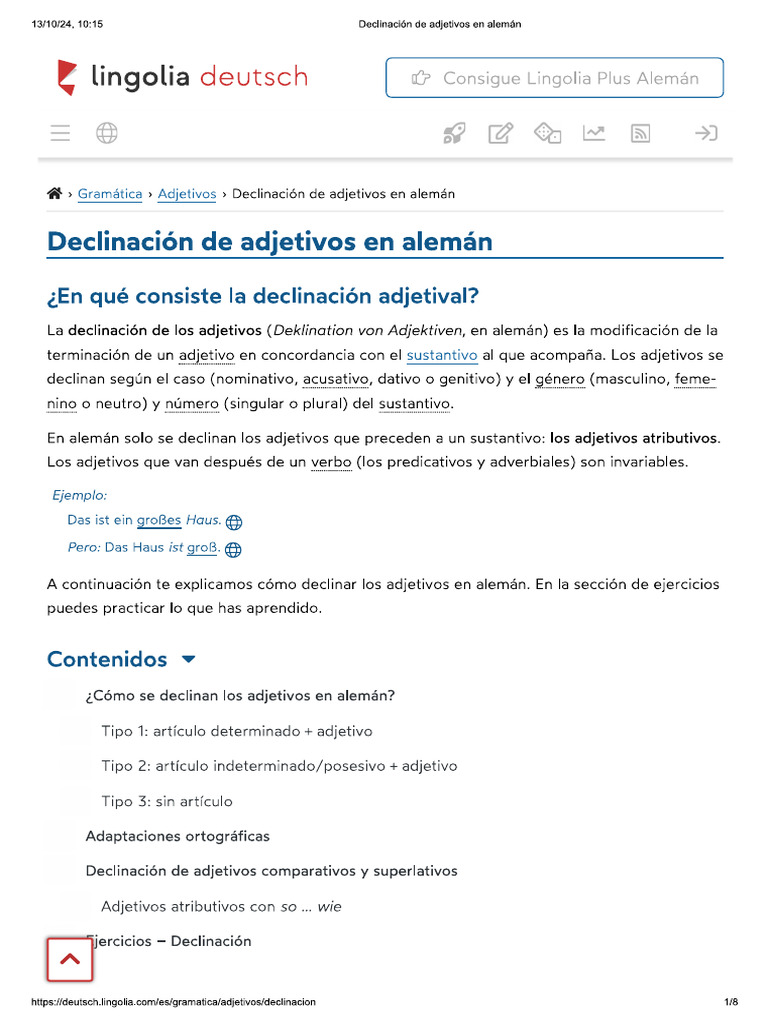 5.1. Declinación Adjetivos | PDF