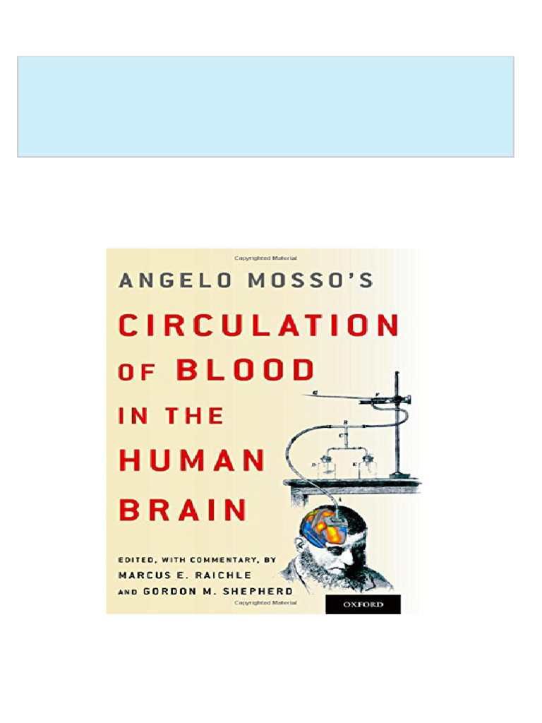 Angelo Mosso S Circulation of Blood in The Human Brain 1 Tra Edition ...
