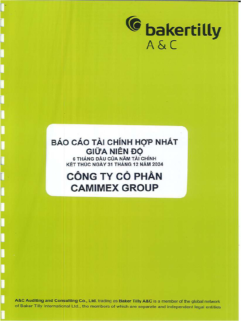 File 1 8375 20240829 - CMX - BCTC Kiem Toan Hop Nhat Ban Nien Nam 2024 | PDF