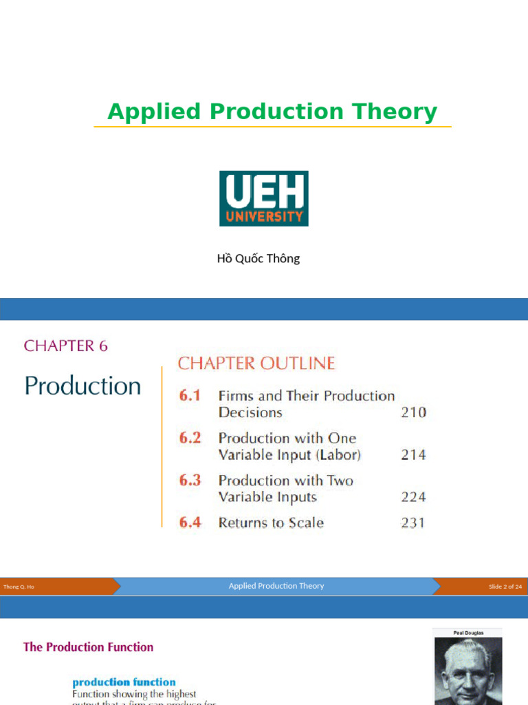 Applied Production Theory | PDF | Economics | Economies