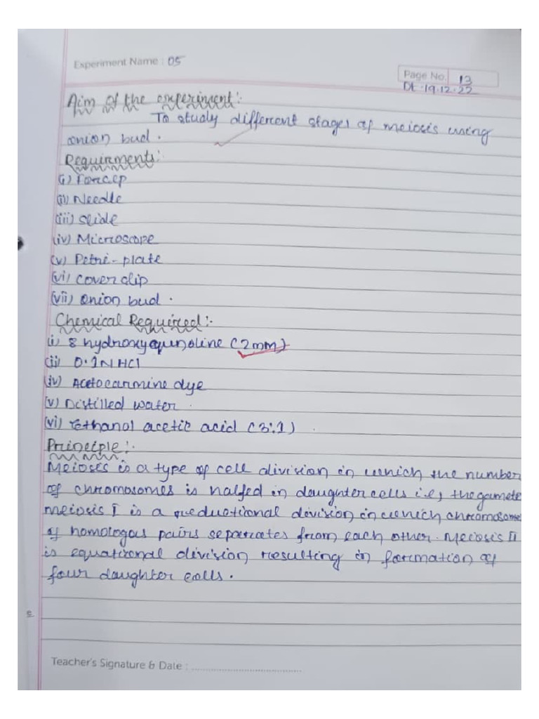 CBG Practical Experiment No. - 04 | PDF