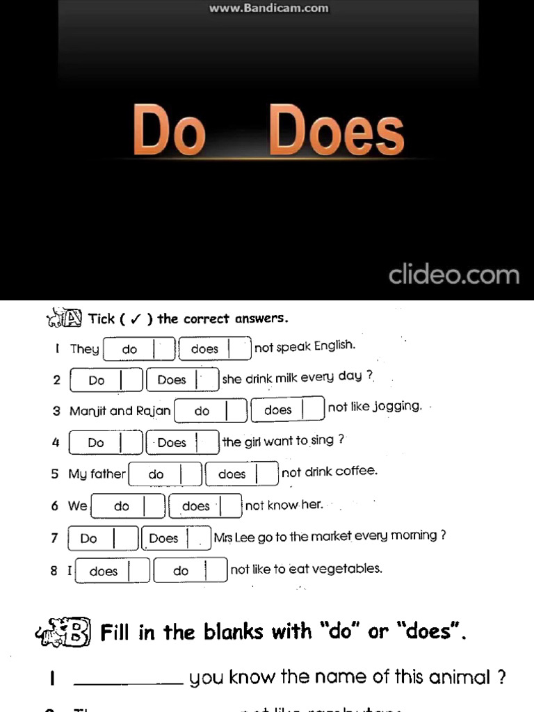 Do and does | PDF