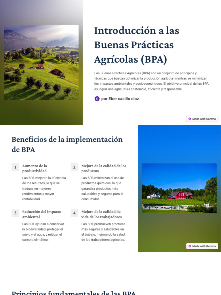 Introduccion A Las Buenas Practicas Agricolas BPA | PDF | Agricultura | Riego