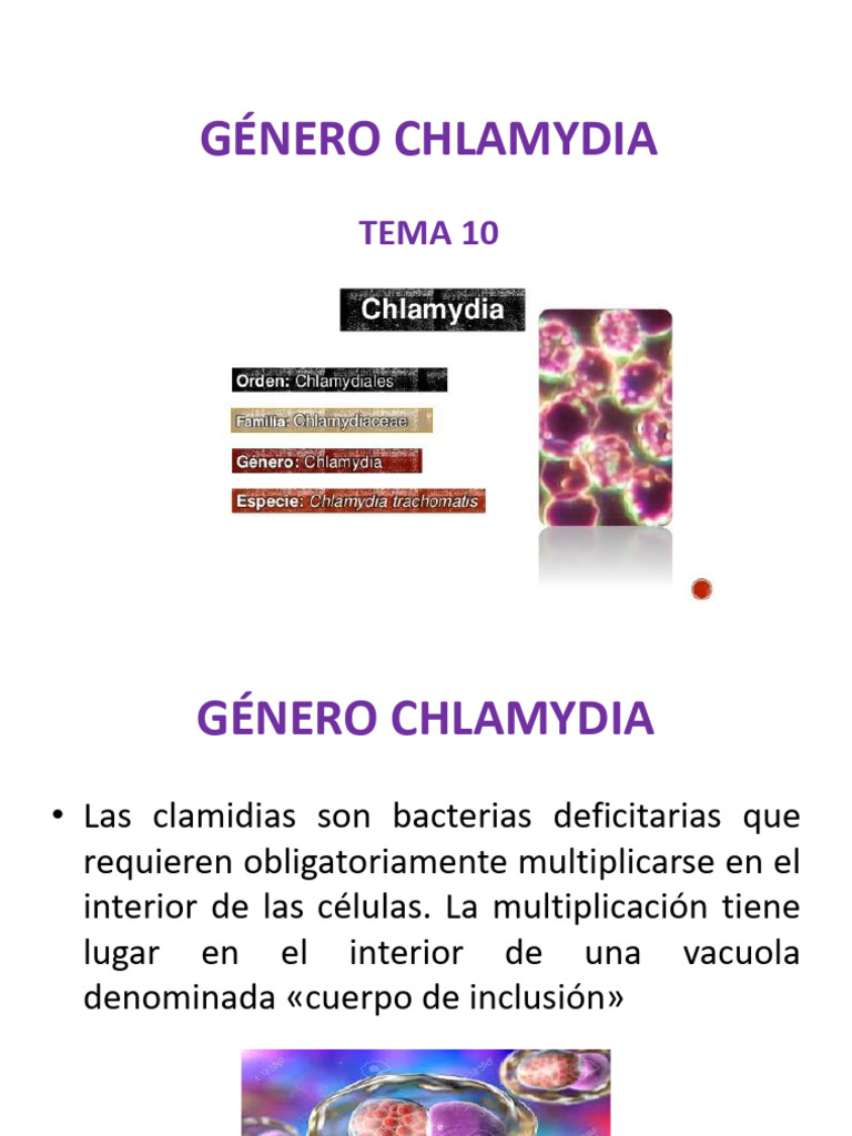 Género Chlamydia | PDF | Medicina CLINICA | Inmunología