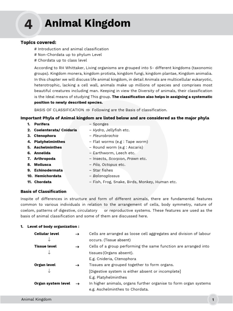 Animal Kingdom 4.0 | PDF | Sponge | Vertebrates