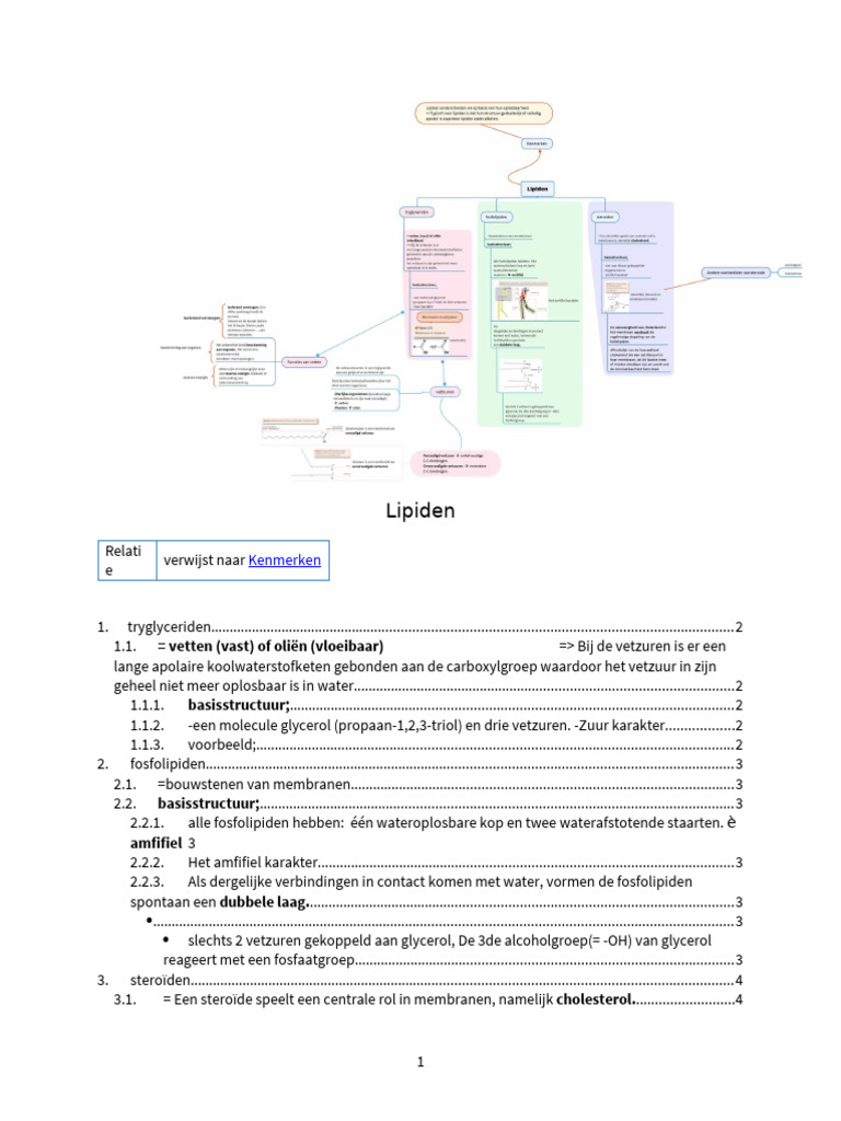 Mindmap Lipiden PG 69-72 | PDF