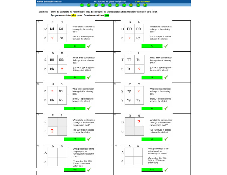 Punnett Squares Basics and Exercises | PDF