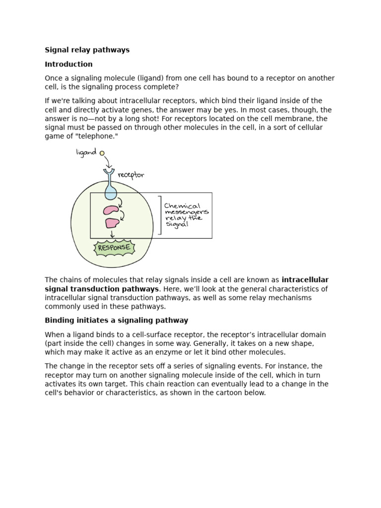 Signal relay pathways | PDF | Cell Signaling | Signal Transduction