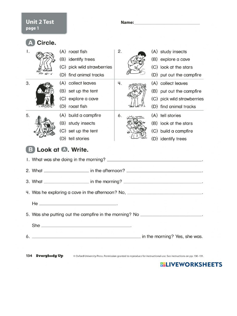 Everybody Up 5 | PDF