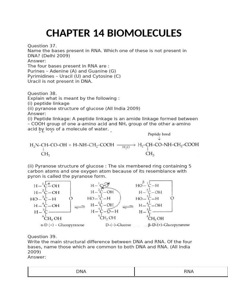 Chapter 14 Biomolecules | PDF | Proteins | Nucleotides