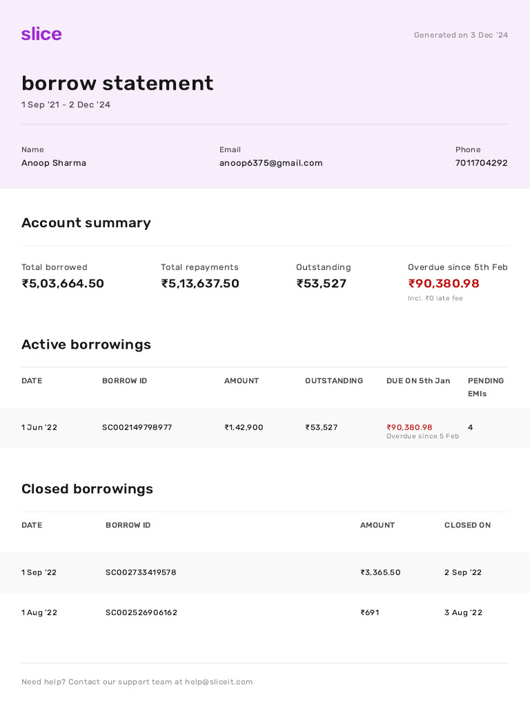 Custom - Soa 1733219426080 | PDF | Personal Finance | Debt