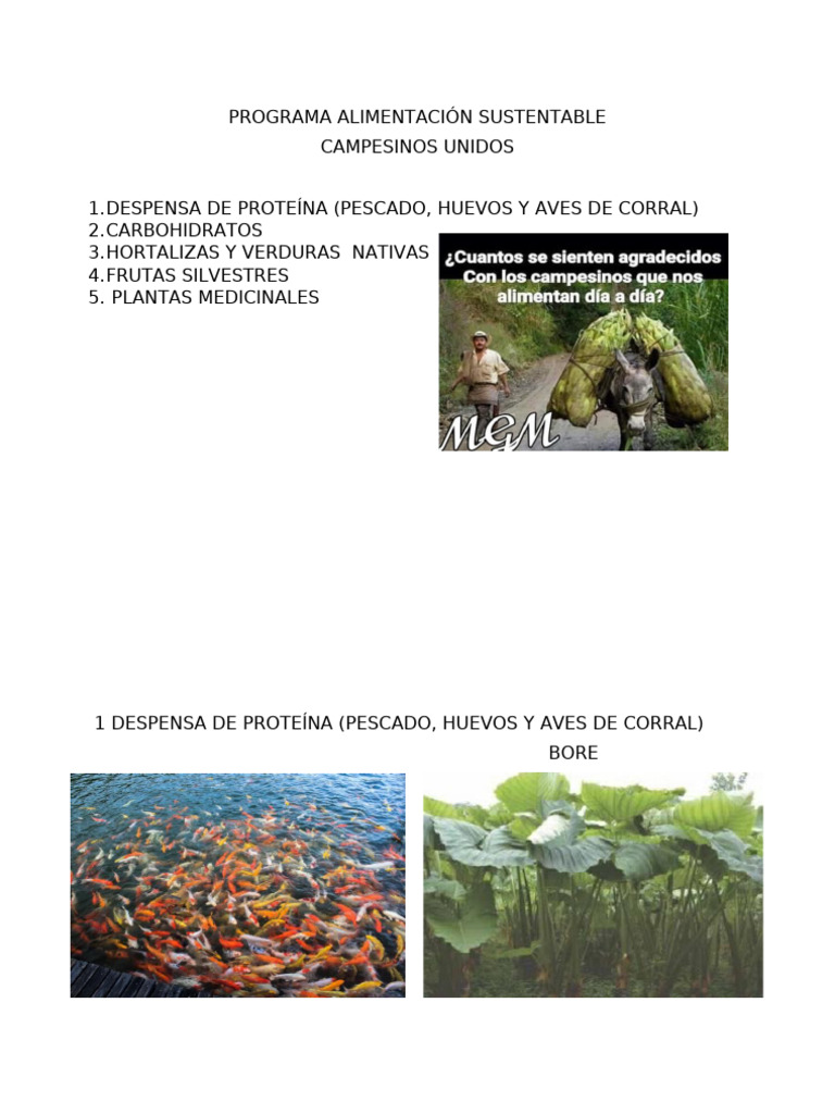 Programa Alimentacion Sustentable | PDF | Vegetales | Fruta