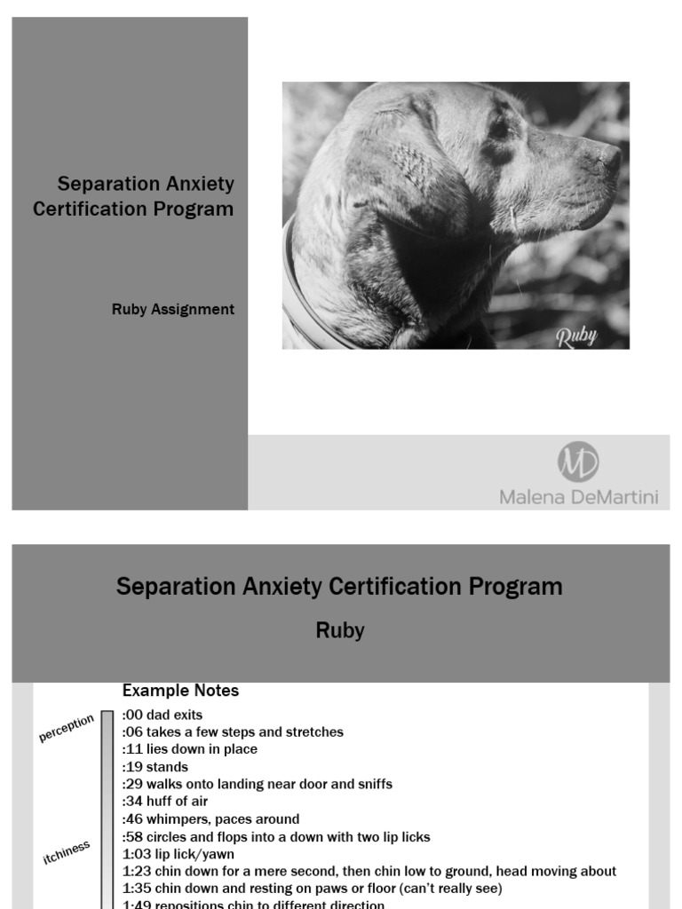 Ruby Assignment Example | PDF