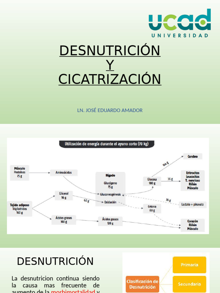 Desnutrición Pdf
