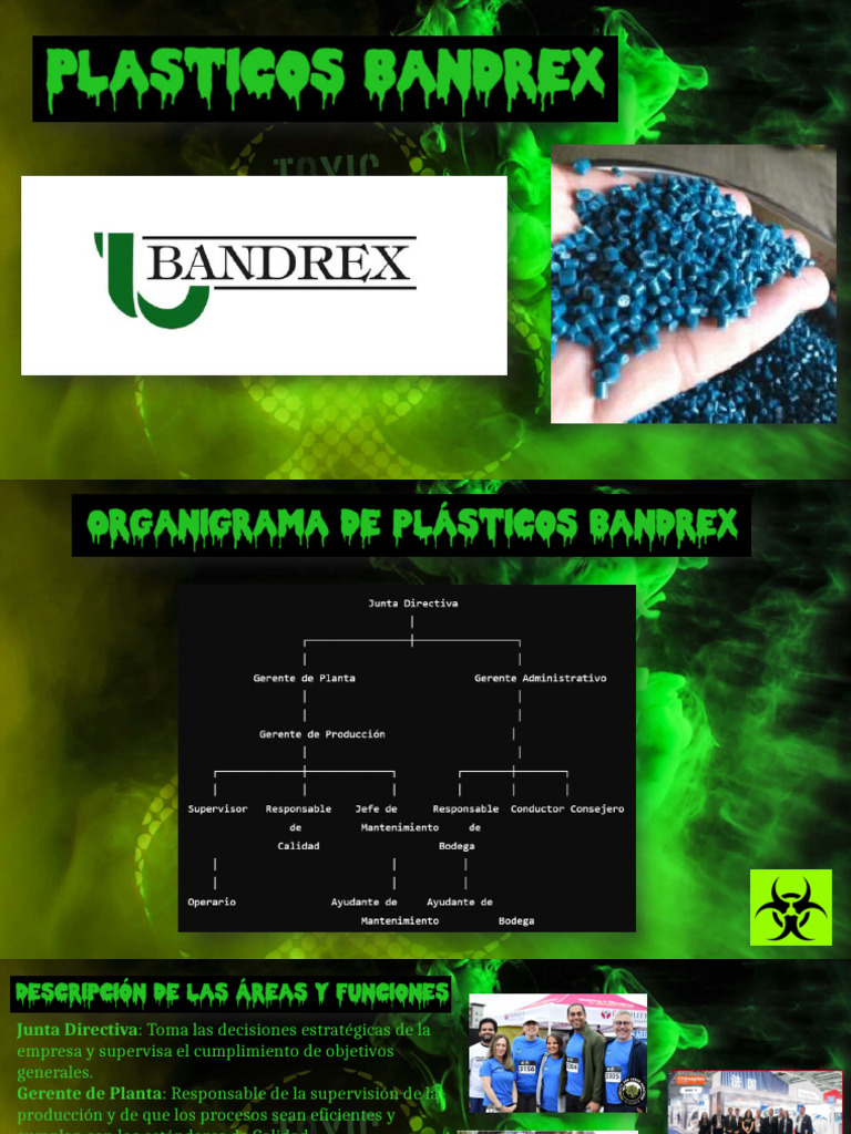 PLASTICOS BANDREX | PDF | Planificación | Presupuesto