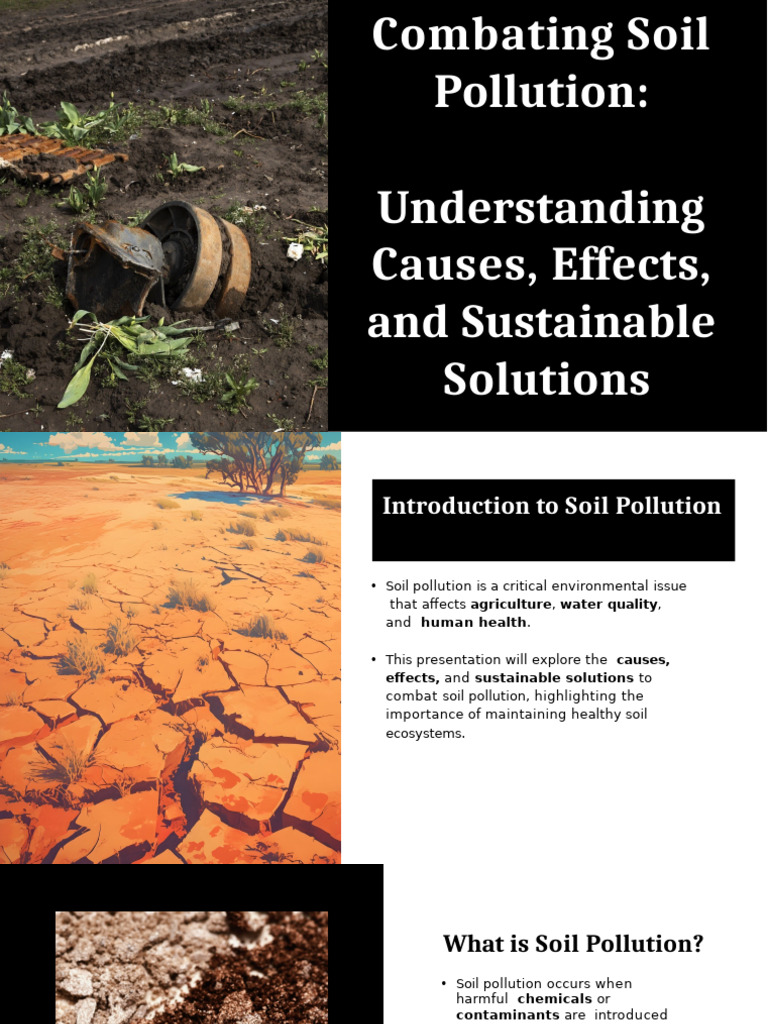 Combatting Soil Pollution | PDF | Pollution | Soil