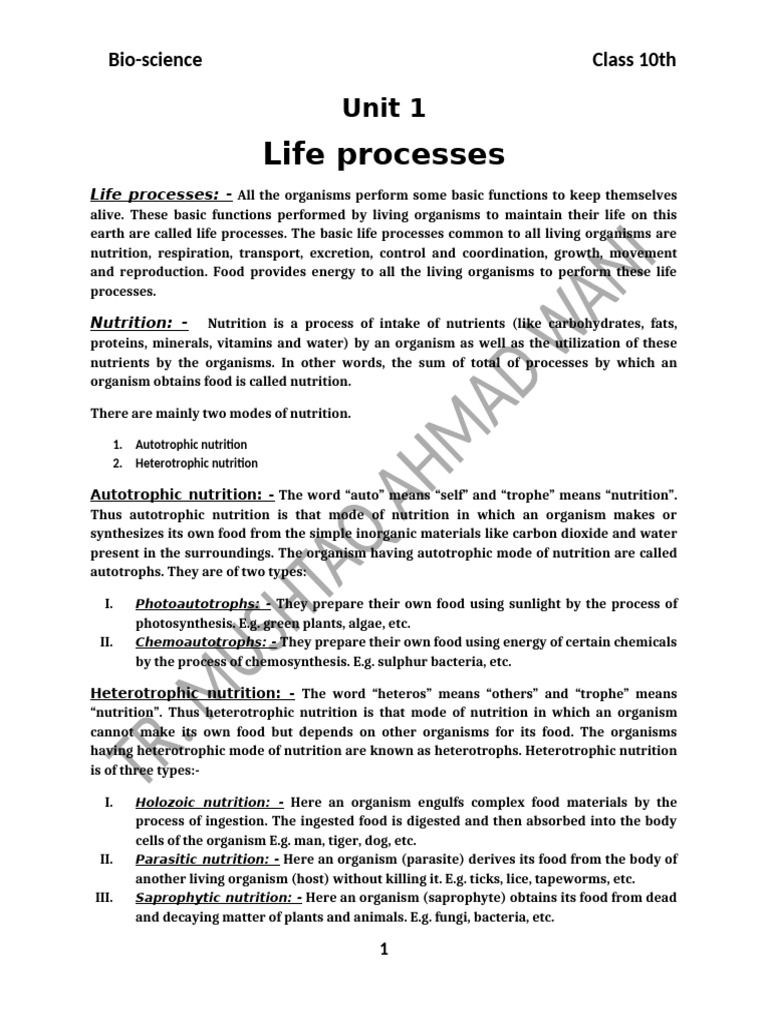 Unit_1___life_processes | PDF | Respiratory Tract | Atrium (Heart) Unit_1___life_processes | PDF | Respiratory Tract | Atrium (Heart)