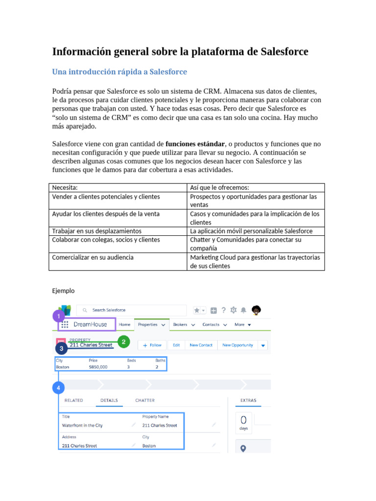 Información General Sobre La Plataforma de Salesforce | PDF | Gestión ...