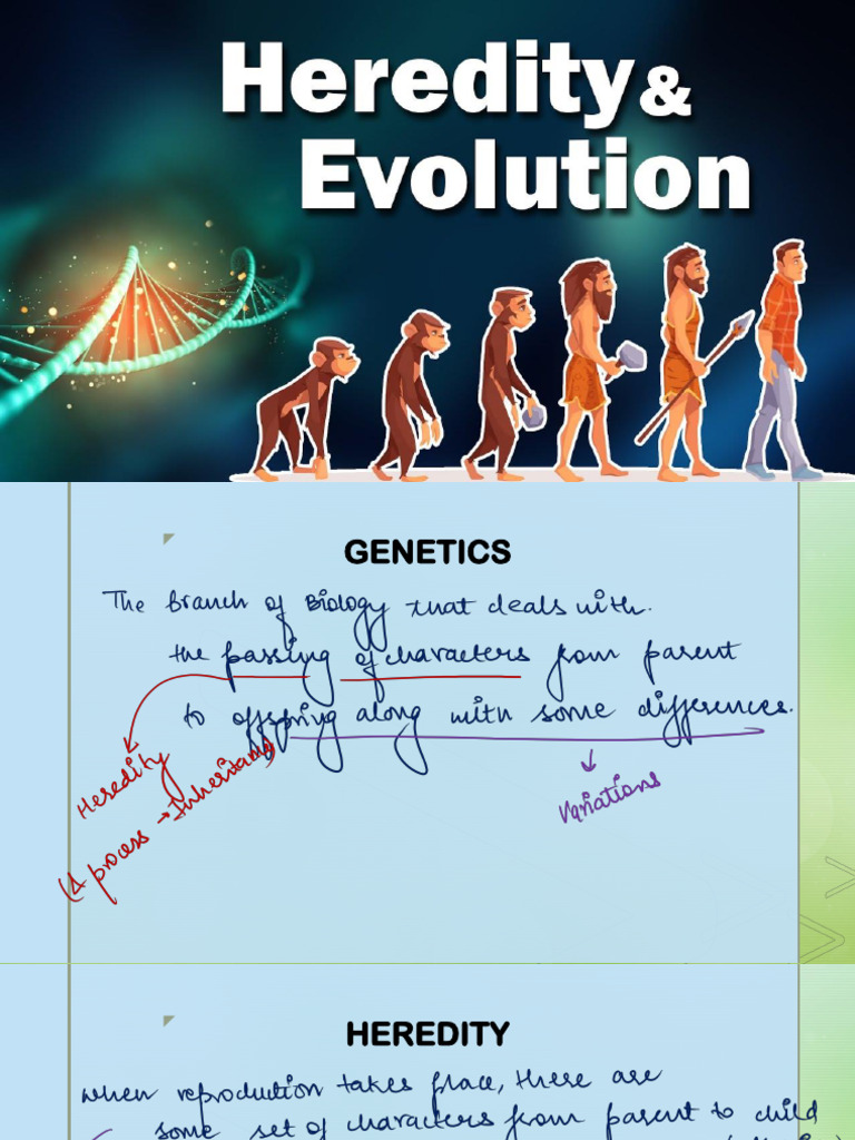 Heredity I 7-10 | PDF