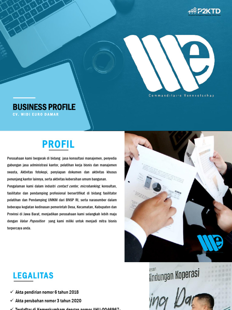 Business Profile | PDF