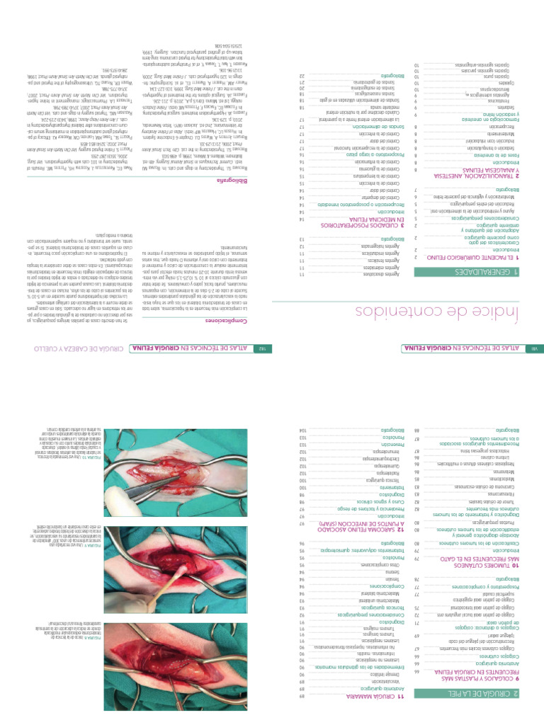 Atlas - de - Tecnica - en - Cirurgia - Felina - Booklet - Part - 1 | PDF | Tiroides | Glándula ...