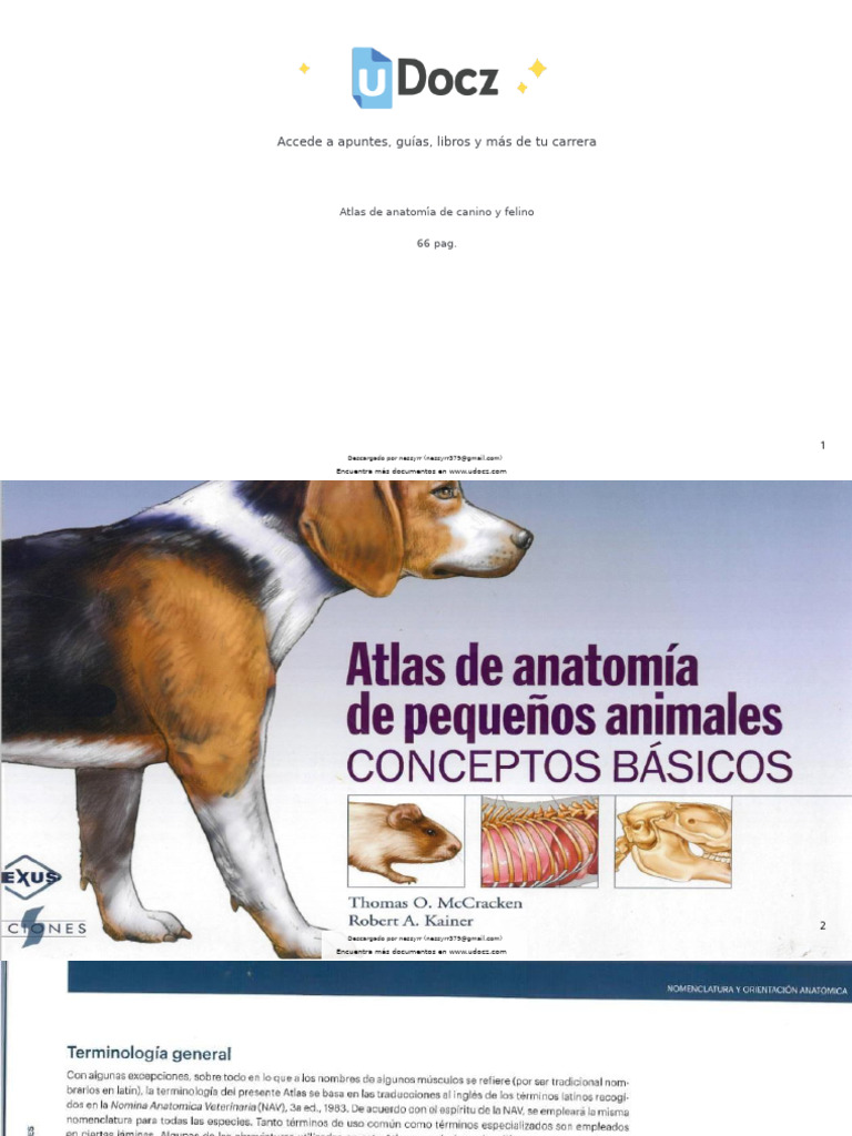 Anatomia de Animales | PDF
