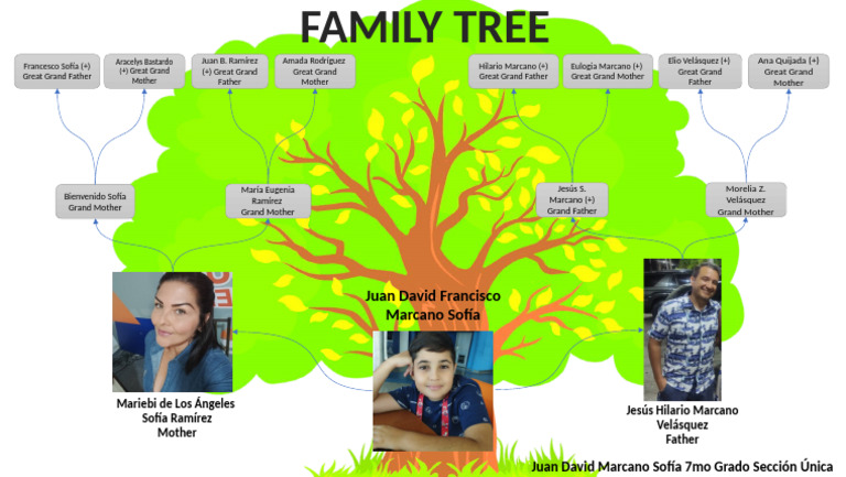Family Tree of Juan David Marcano | PDF