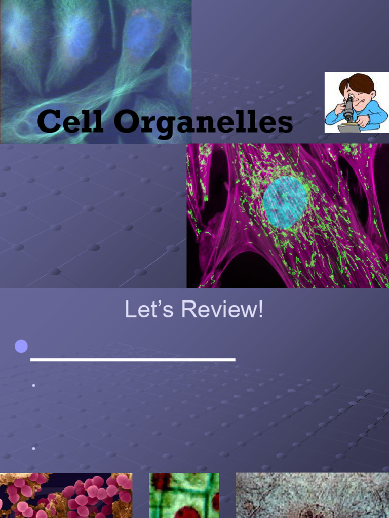 Cell - Organelles - 11 - Prof Mylene | PDF | Cell (Biology ...
