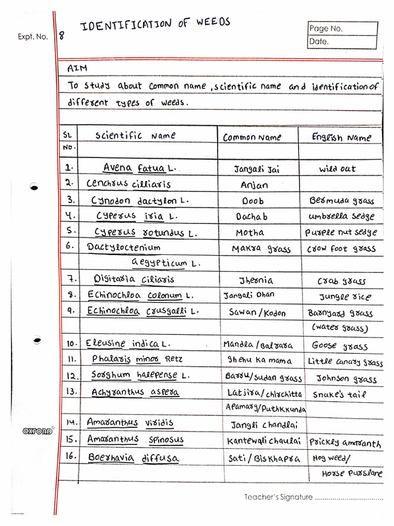 Identification of Weed - Practical No - 8 | PDF