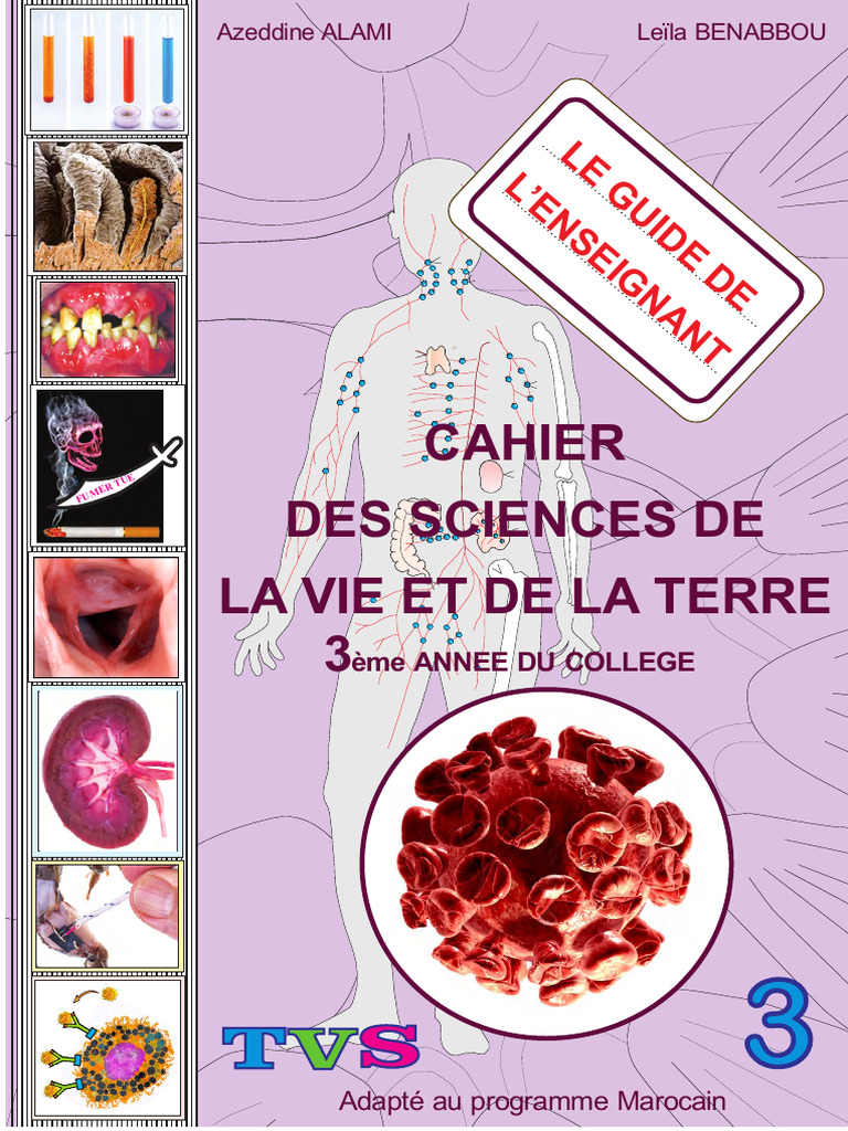 Guide SVT 3ème : Alimentation et Digestion | PDF | Tractus gastro ...