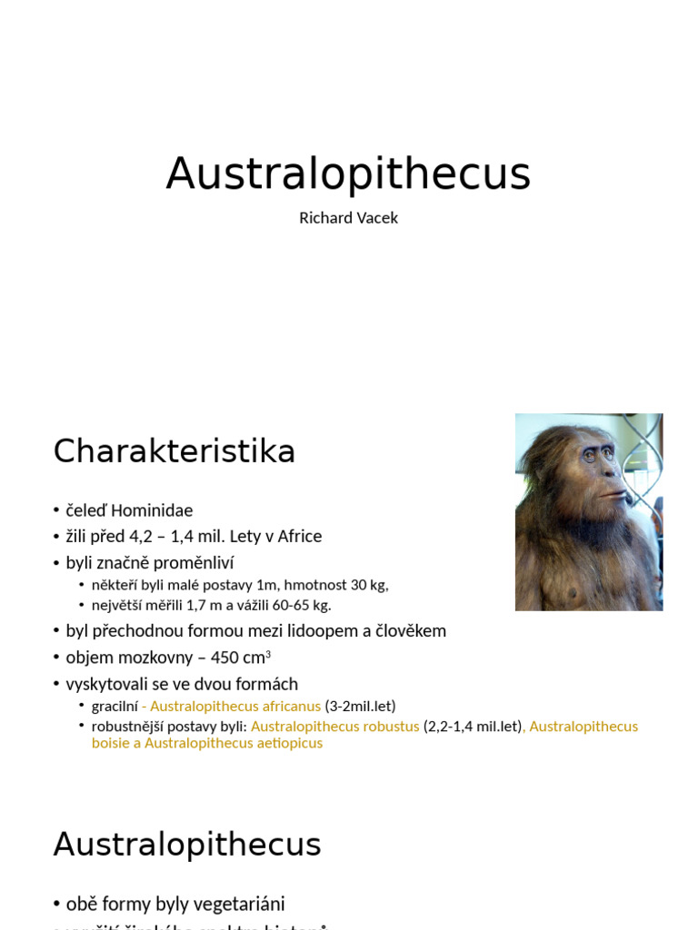 Australopithecus | PDF