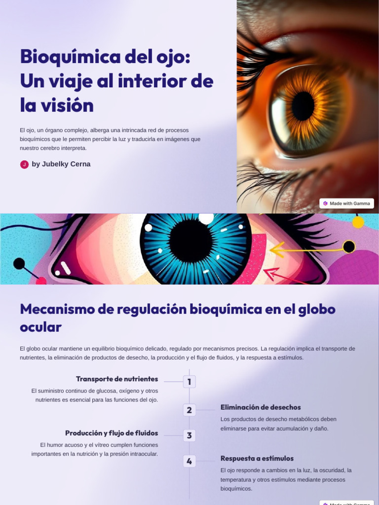Bioquimica del ojo | PDF | Ojo humano | Córnea