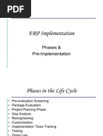 ERP Implementation Checklist | PDF | Enterprise Resource Planning ...
