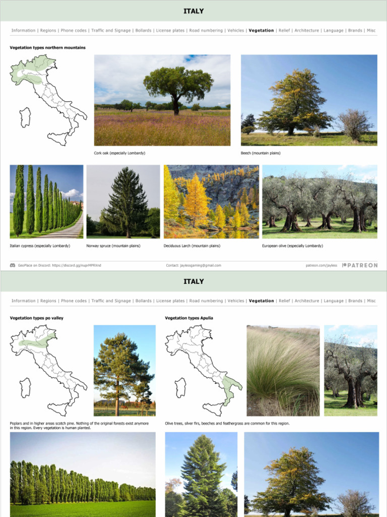 Italy Vegetation | PDF