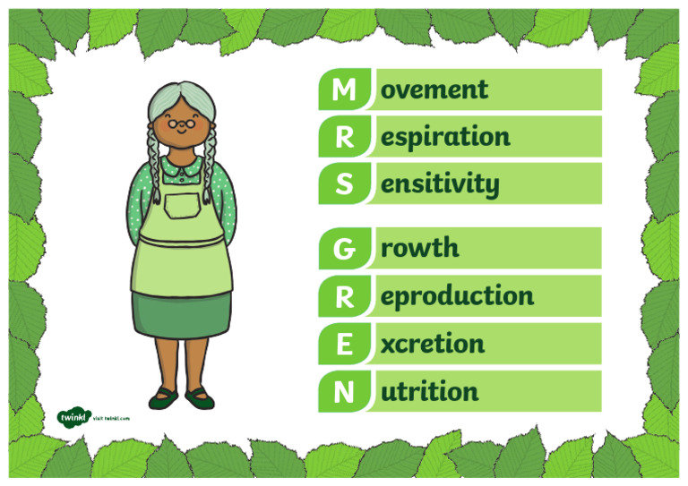 t2 S 001 Mrs Gren Life Processes Display Poster Ver 1 | PDF