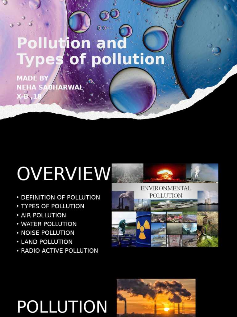 Pollution and Types of Pollution NEHA IT PROJECT | PDF