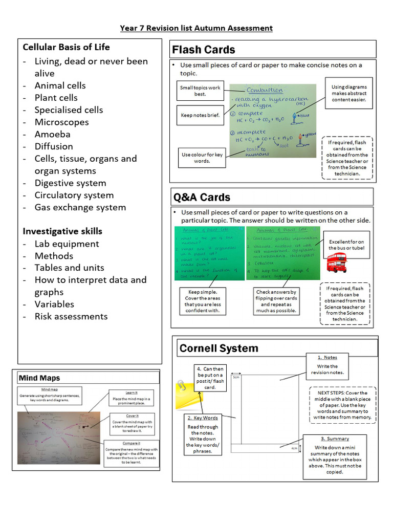 Y7 Autumn Revision List | PDF