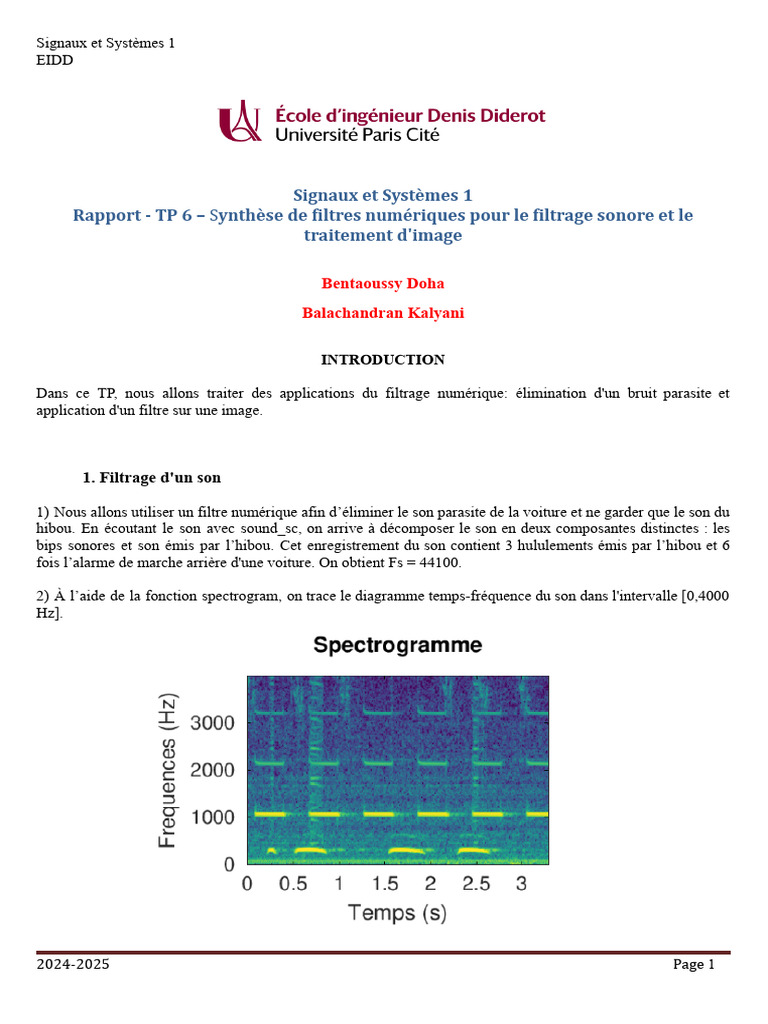 Filtrage numérique : son et image | PDF | Filtre (électronique) | Son