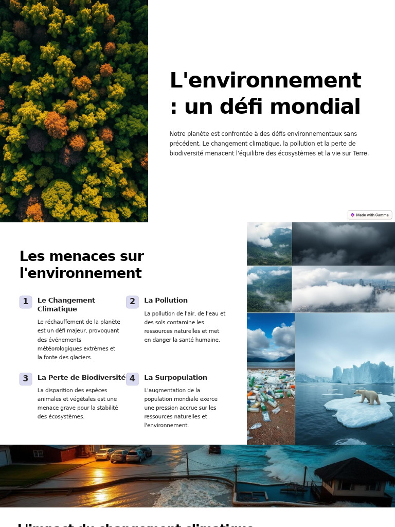 Lenvironnement Un Defi Mondial | PDF | la pollution | Sol (pédologie)