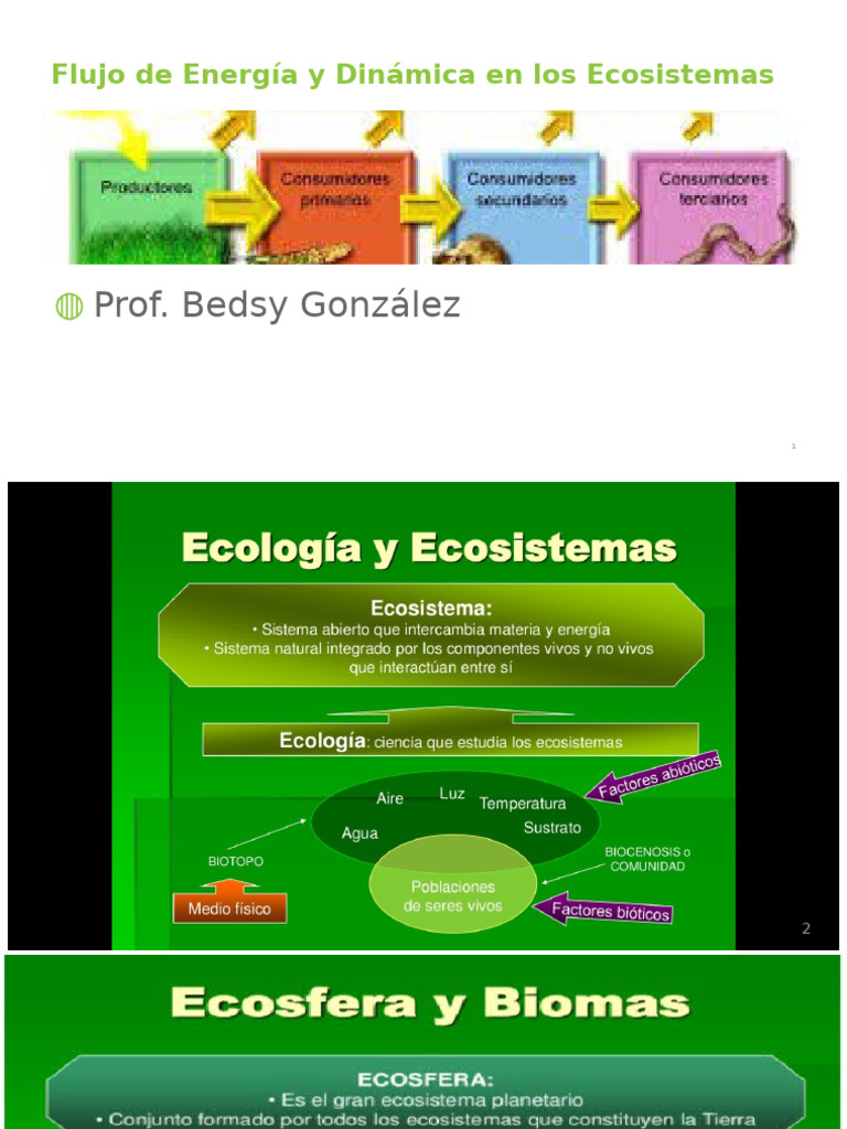 Flujo de Energìa en Los Ecosistemas (1) | PDF | Caloría | Naturaleza