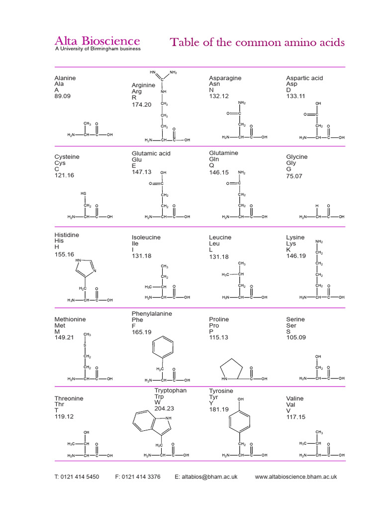 Table of The Amino Acids | PDF | Amino Acid | Natural Products