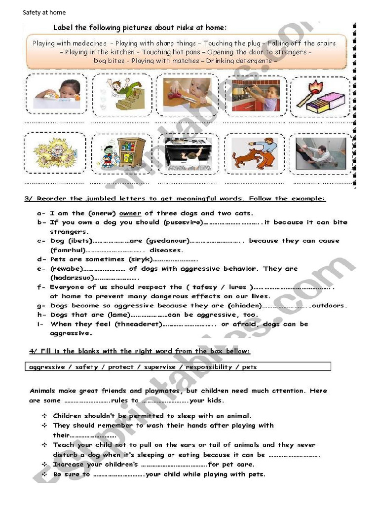 Safety at Home | PDF