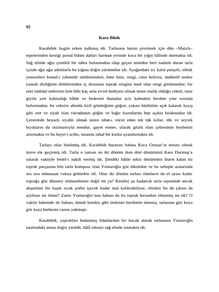 Kara Bibik | PDF