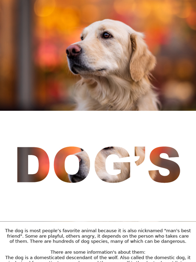 Dogs | PDF