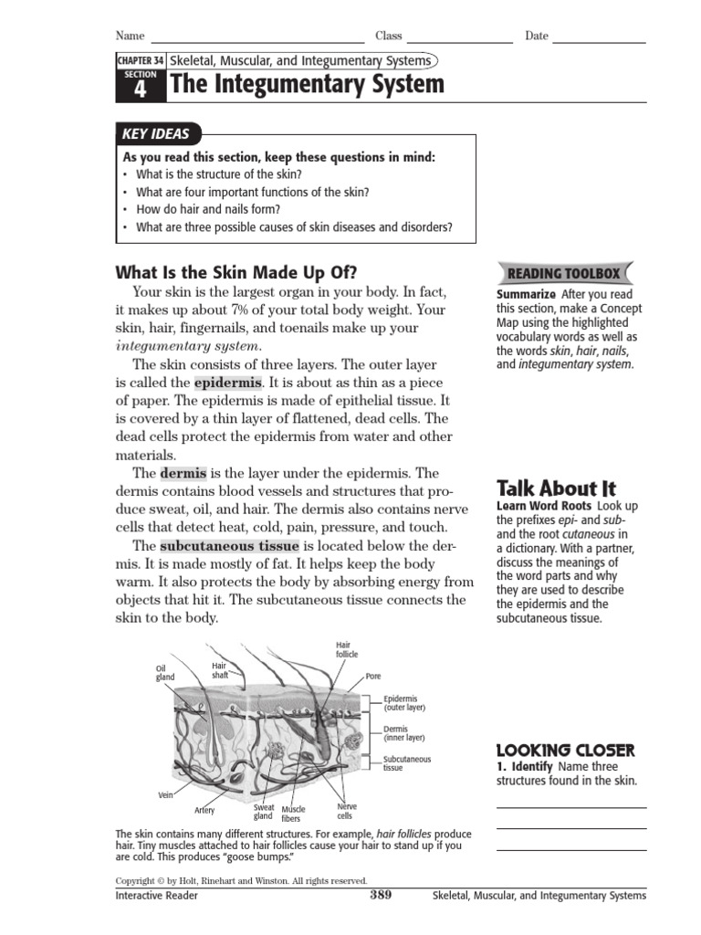 Reading 8-Integumentary-Skin | PDF | Skin | Integumentary System