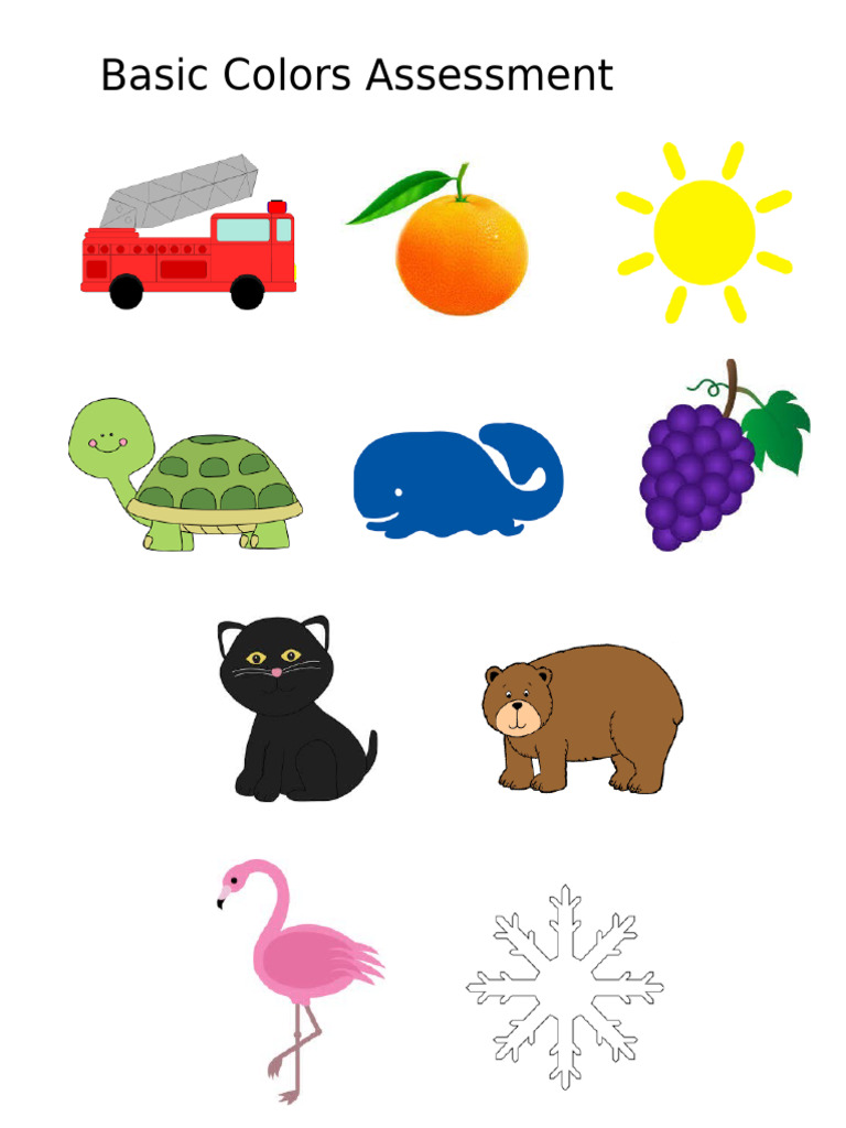 Basic Colors Assessment Guide | PDF