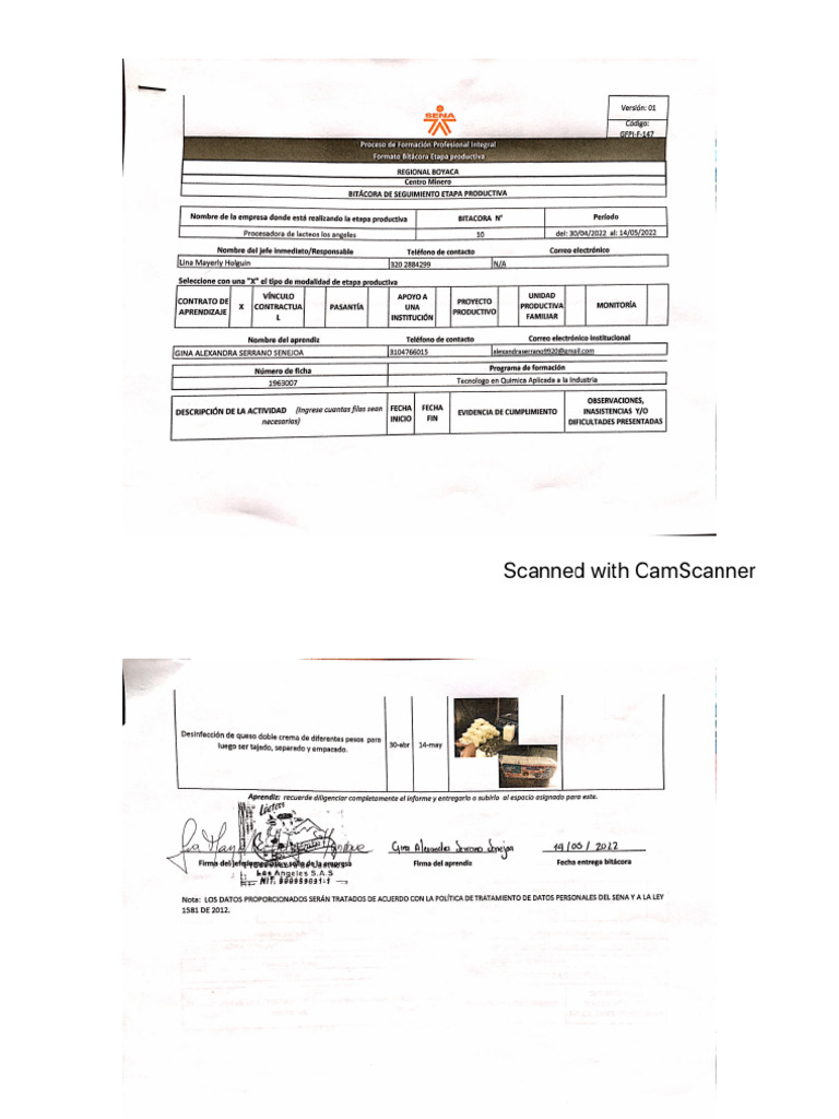 Bitácora _10_Gina_Serrano | PDF