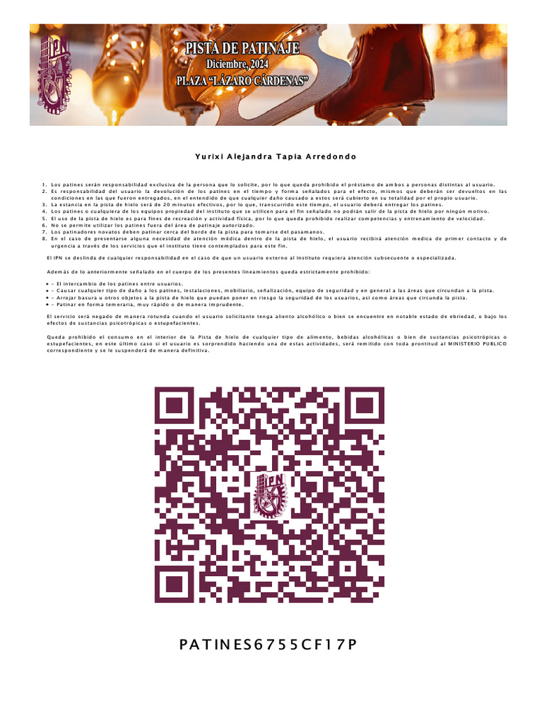 Registro Pista IPN | PDF